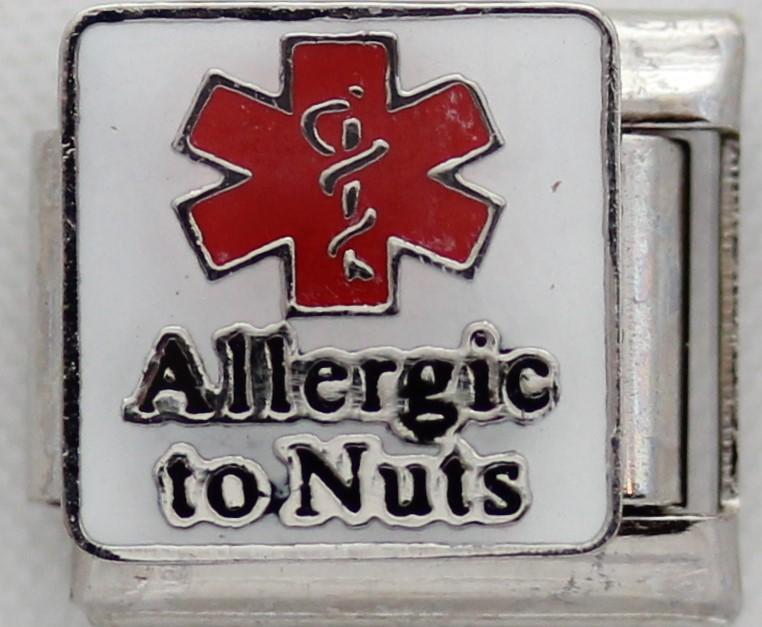 Medical Alert - Allergic to Nuts 9mm Charm